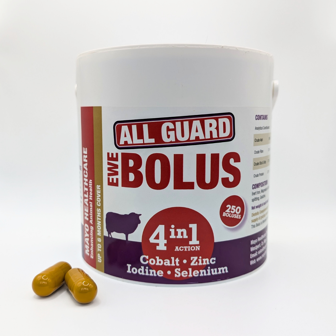 All Guard Ewe 4in1 – Mayo Animal Healthcare