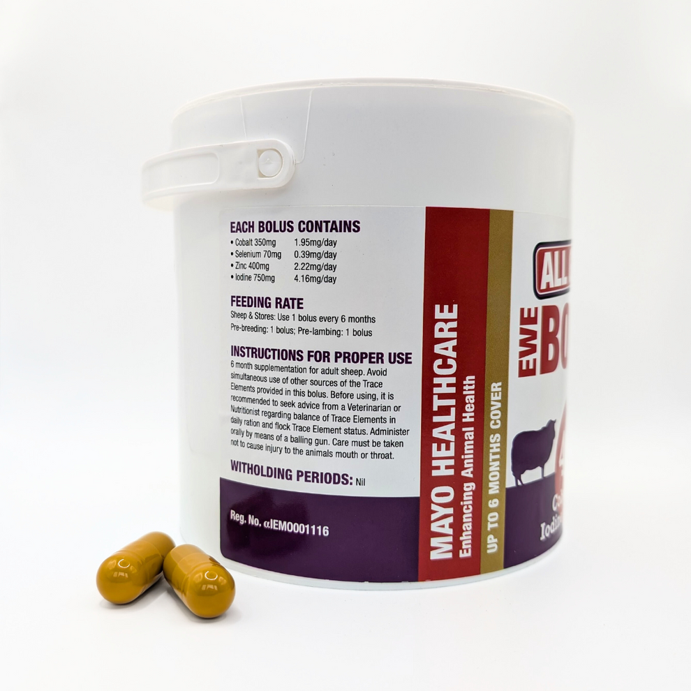 All Guard Ewe 4in1 – Mayo Animal Healthcare