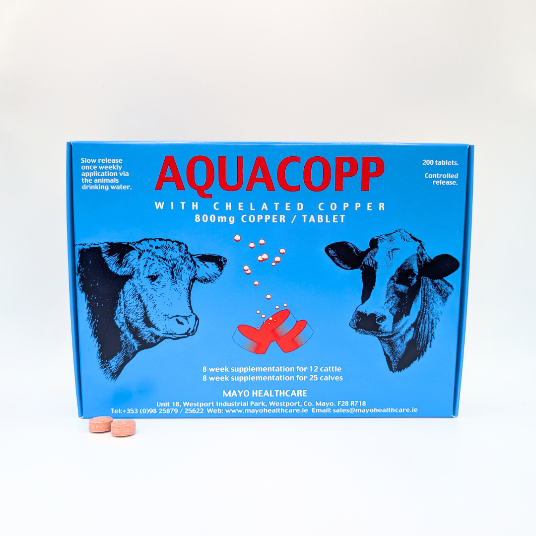 Cattle – Mayo Animal Healthcare