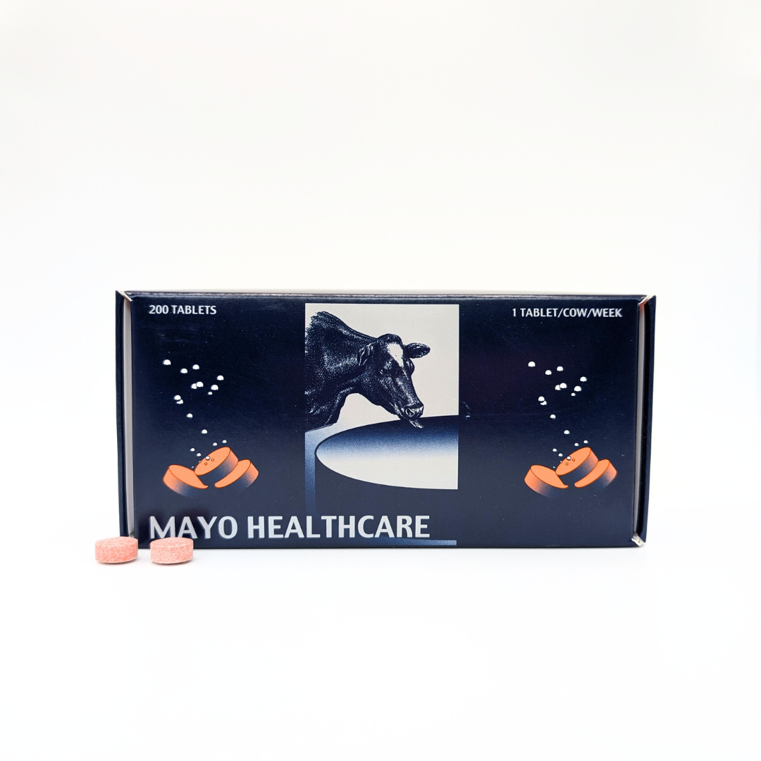 Cattle – Mayo Animal Healthcare
