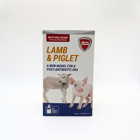 Lambs – Mayo Animal Healthcare