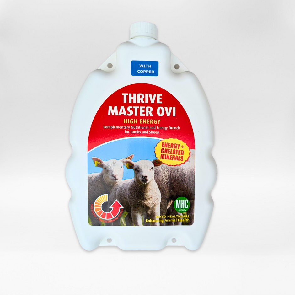 Sheep – Mayo Animal Healthcare