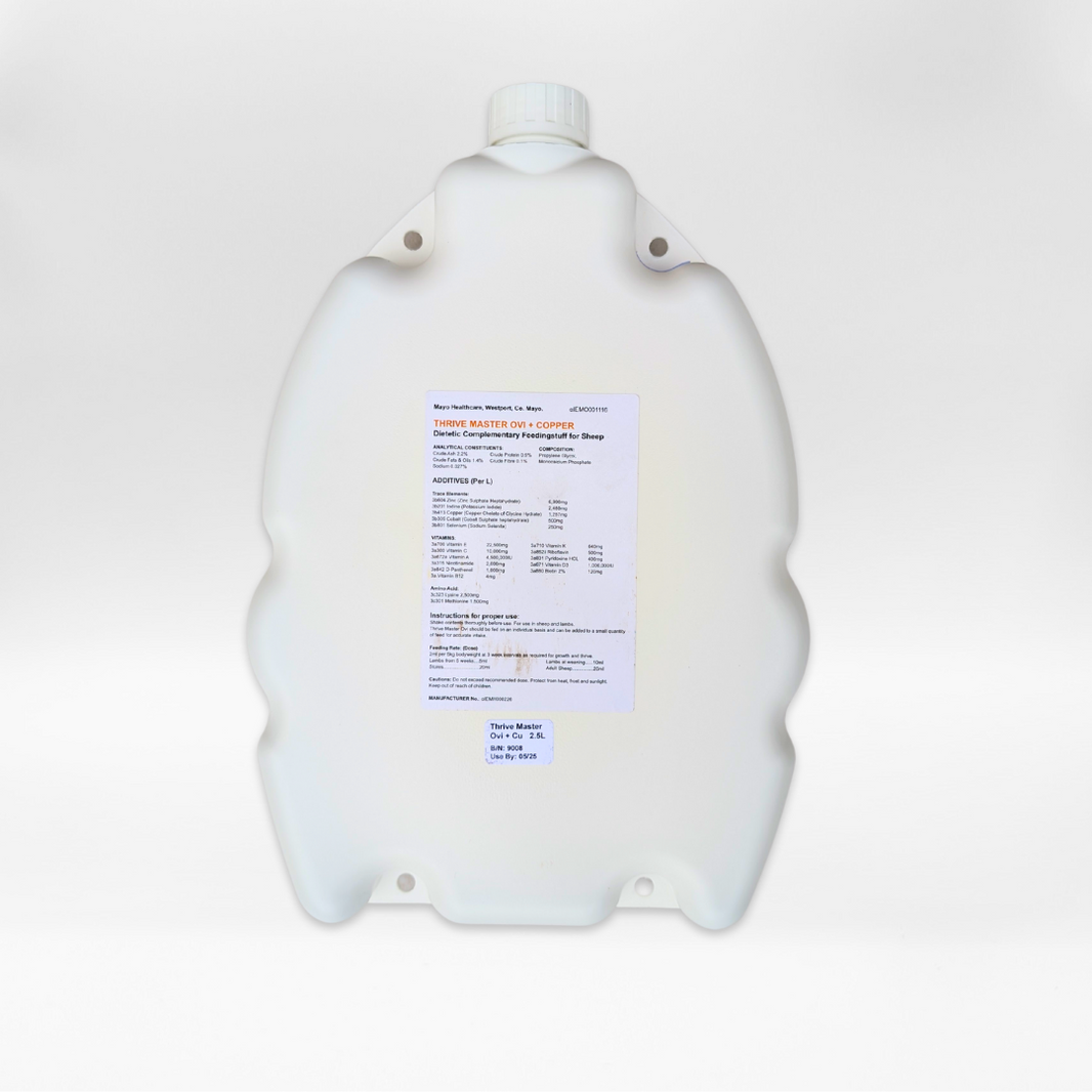 Sheep – Mayo Animal Healthcare